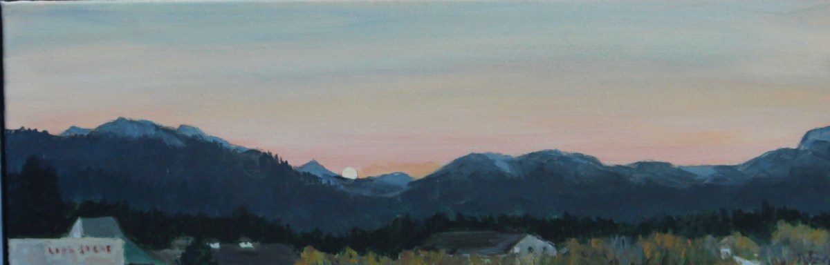 Judy Wild, paintings – Gallery Fifty-Five